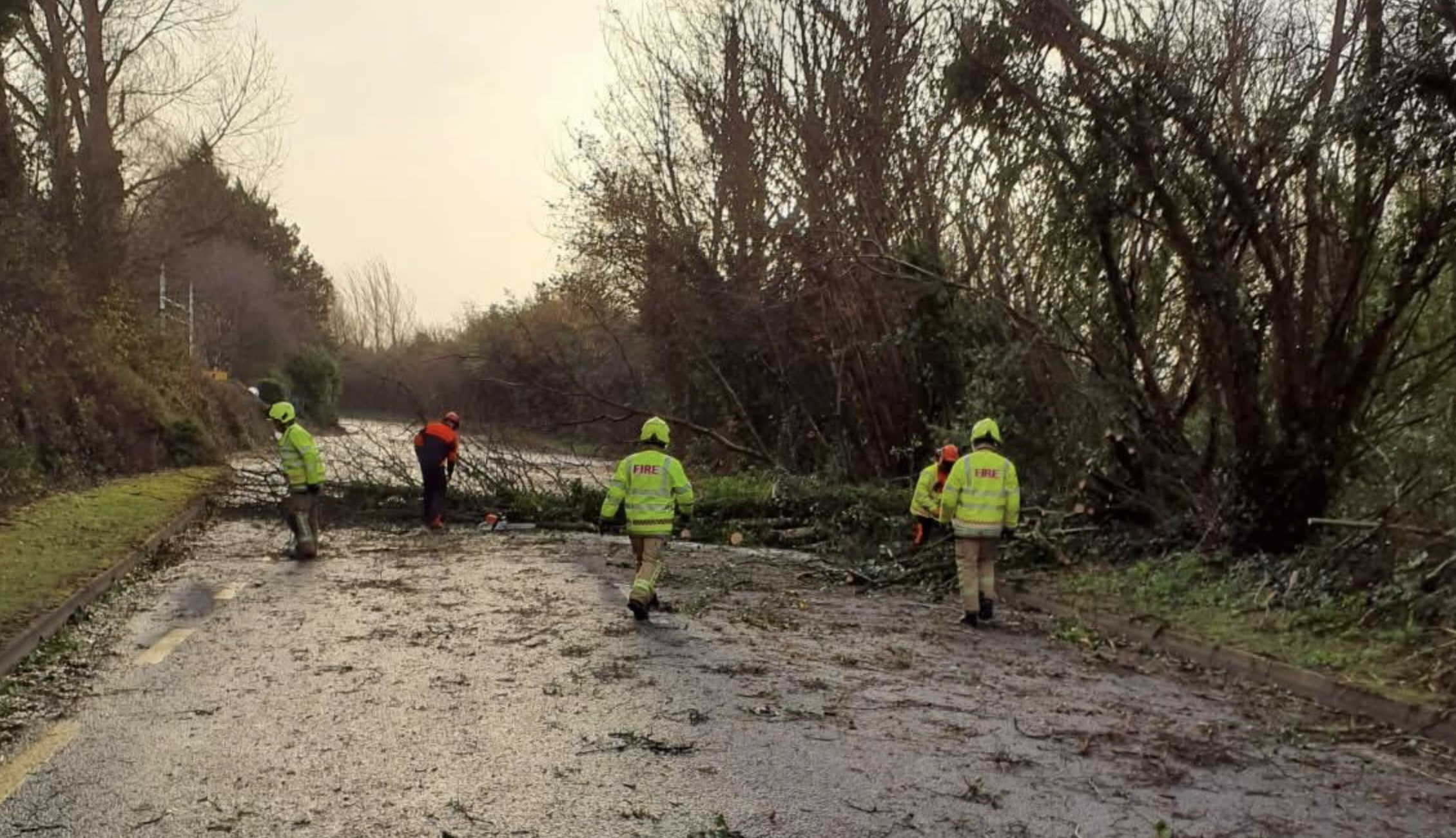 SIPTU has commended Local Authority workers for their work during Storm ...